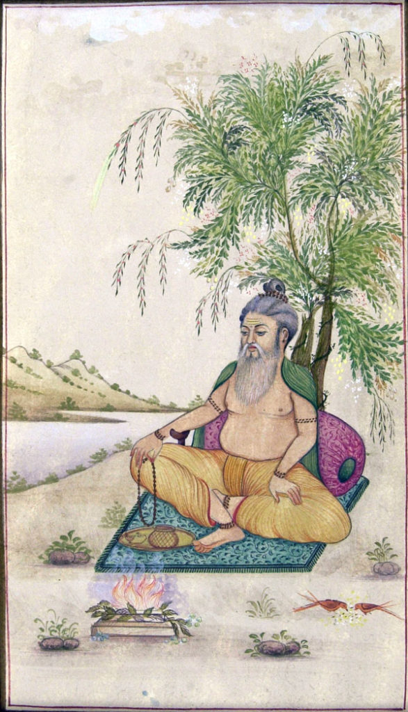 Hidden Fruits #2: the Neem tree – Mobile Orchards